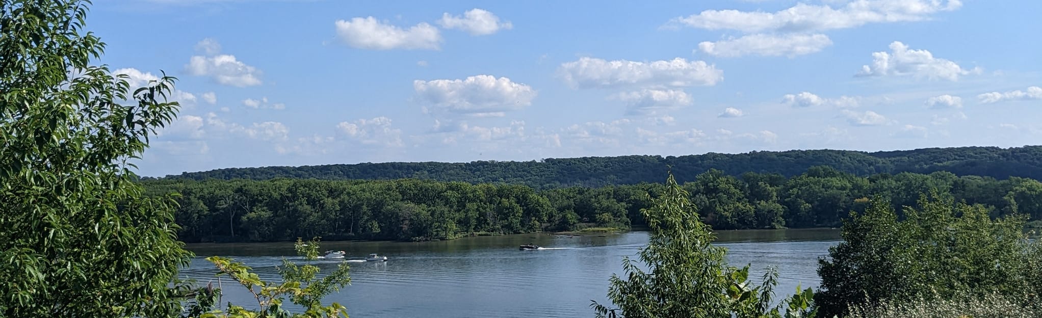 River Bluff Trail Loop, Illinois - 339 Reviews, Map | AllTrails