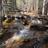 Webster and Red Cone Pass Trail, Colorado - 120 Reviews, Map | AllTrails