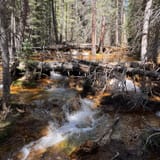 Webster and Red Cone Pass Trail, Colorado - 120 Reviews, Map | AllTrails