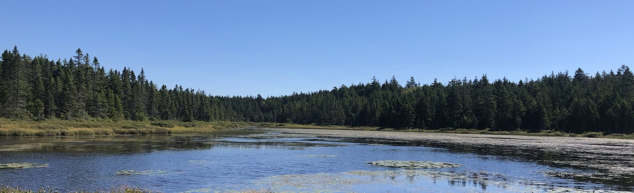 Marven Lake via Bennett Brook Trail: 31 Reviews, Map - New Brunswick ...