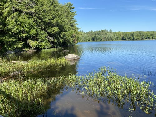 Best Hikes and Trails in Fushimi Lake Provincial Park | AllTrails