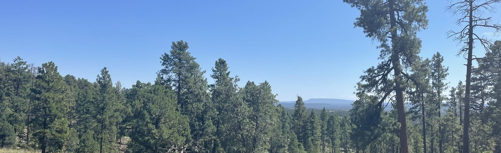 Elden Lookout, Upper Dry Lake, Lost Burrito, and Rocky Ridge Loop ...