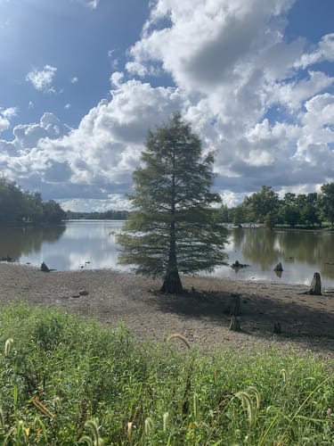 Best Hikes and Trails in Jacobson Park | AllTrails