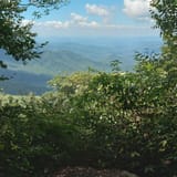 Appalachian Trail: Deep Gap to Dicks Creek, North Carolina - 88 Reviews ...