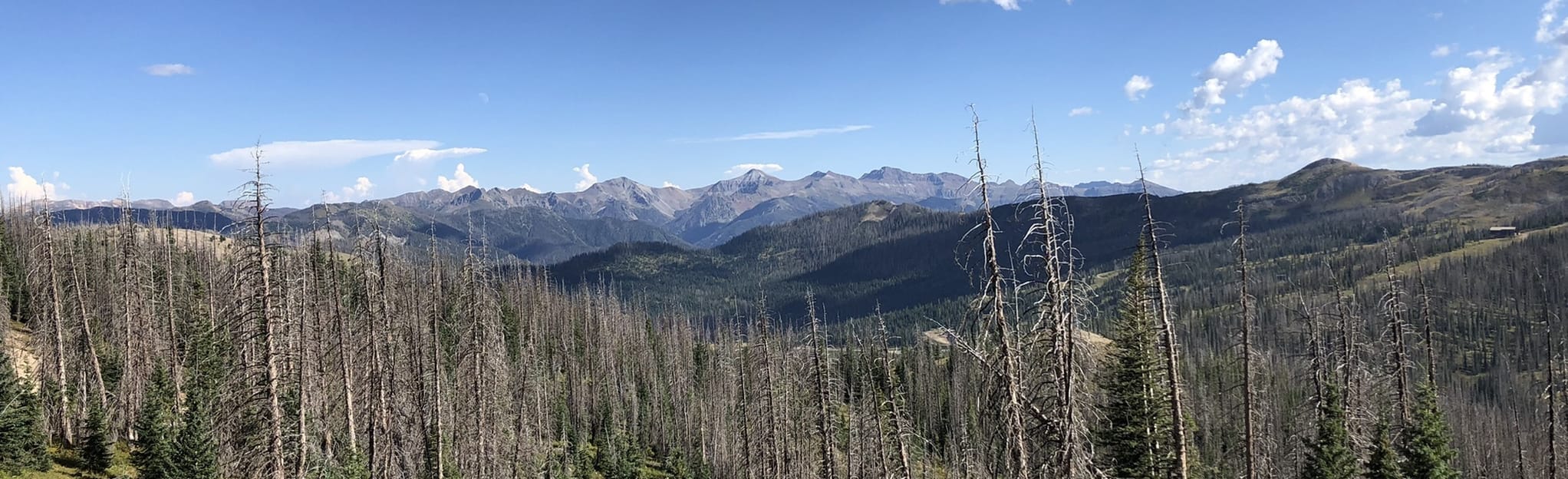 Mount Hope via Wolf Creek Pass, Colorado - 20 Reviews, Map | AllTrails