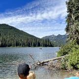 Cooper River Trail, Washington - 367 Reviews, Map | AllTrails