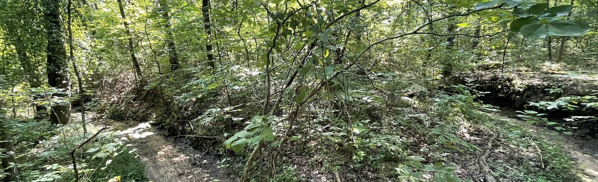 AllTrails | Benton Community Park: 11 Reviews, Map - Illinois