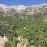 Dry Canyon Trail, Utah - 502 Reviews, Map | AllTrails
