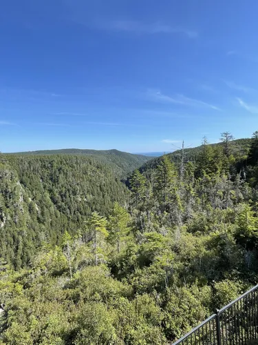 Best Waterfall Trails in Little Salmon River Nature Preserve | AllTrails