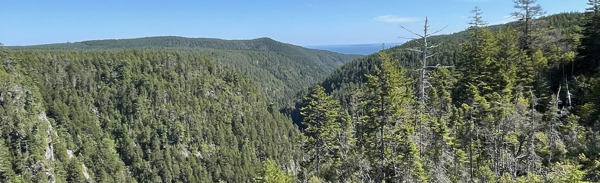 Fundy Footpath from Walton Glenn Gorge to Eye of the Needle: 53 Reviews ...