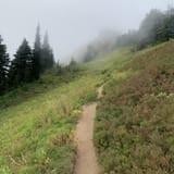 White Pass Pilot Ridge Loop Trail, Washington - 116 Reviews, Map ...