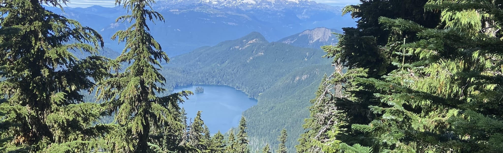 Lily Basin Trail - Washington | AllTrails