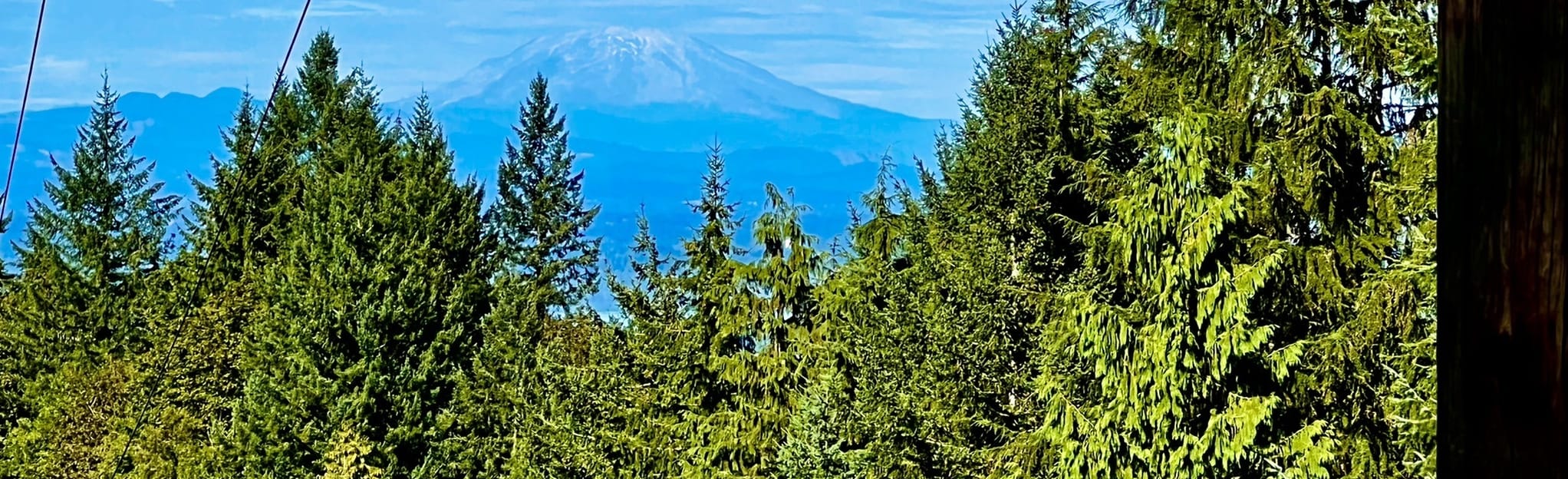 Skyline Cruise Loop Trail: 789 Reviews, Map - Oregon | AllTrails