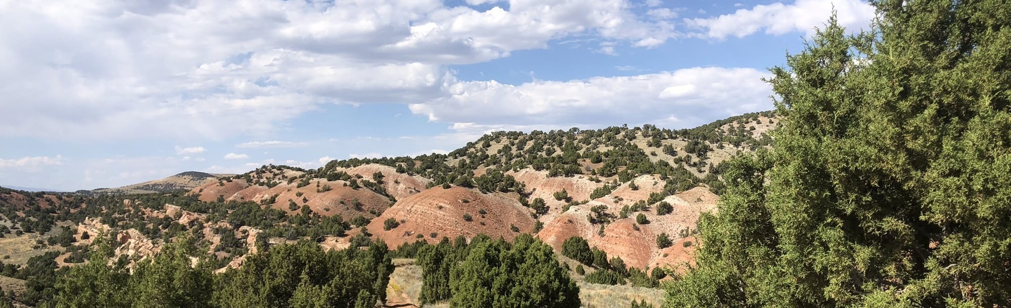 Johnny Behind the Rocks Trail: 65 Reviews, Map - Wyoming | AllTrails