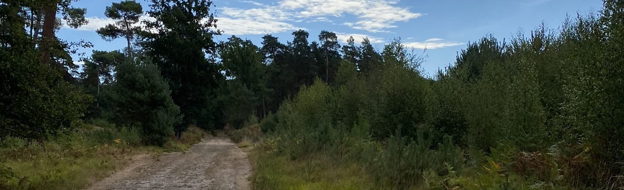 Loop in Chantilly Forest: 33 foto's - Oise, Frankrijk | Wandelen ...