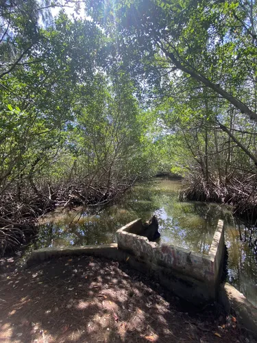 Best Hikes and Trails in Chapman Field Park | AllTrails