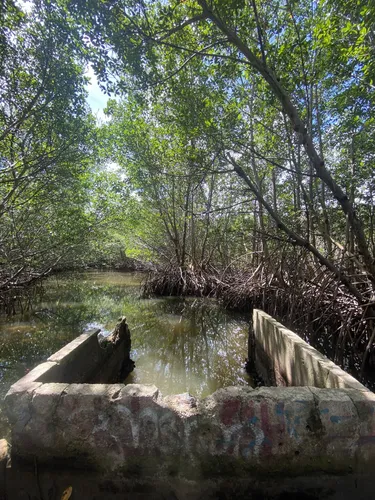 Best Hikes and Trails in Chapman Field Park | AllTrails