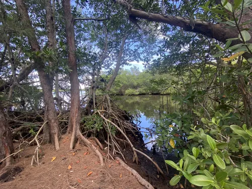 Best Hikes and Trails in Chapman Field Park | AllTrails