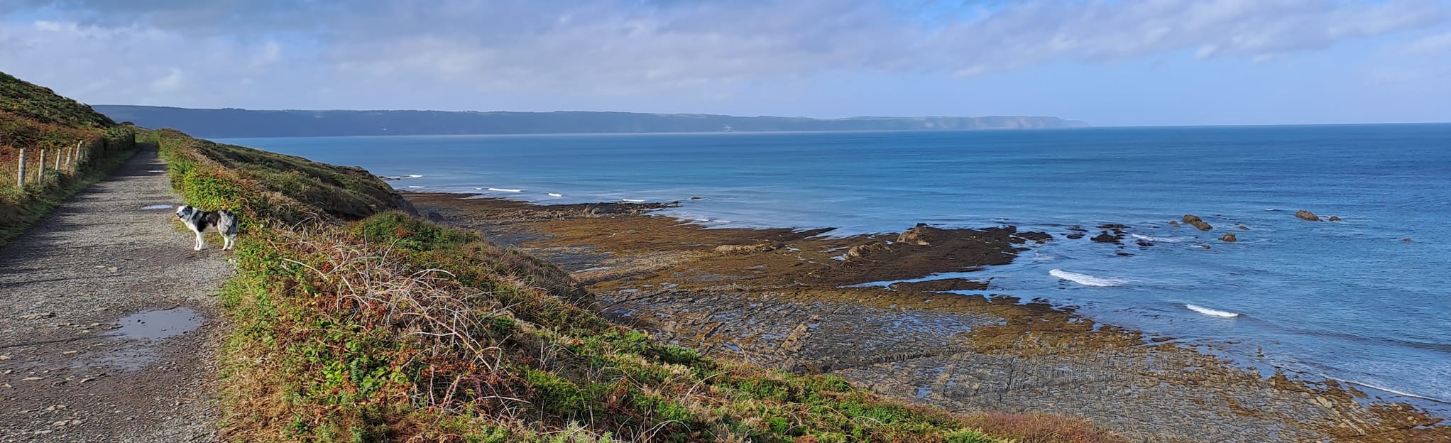 Westward Ho! Pebble Ridge and Cornborough Cliff Circular, 69 Fotos ...