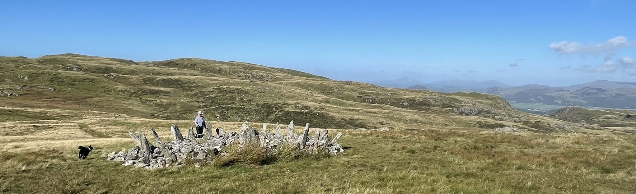 Bryn Cader Faner: 25 Reviews, Map - Gwynedd, Wales | AllTrails