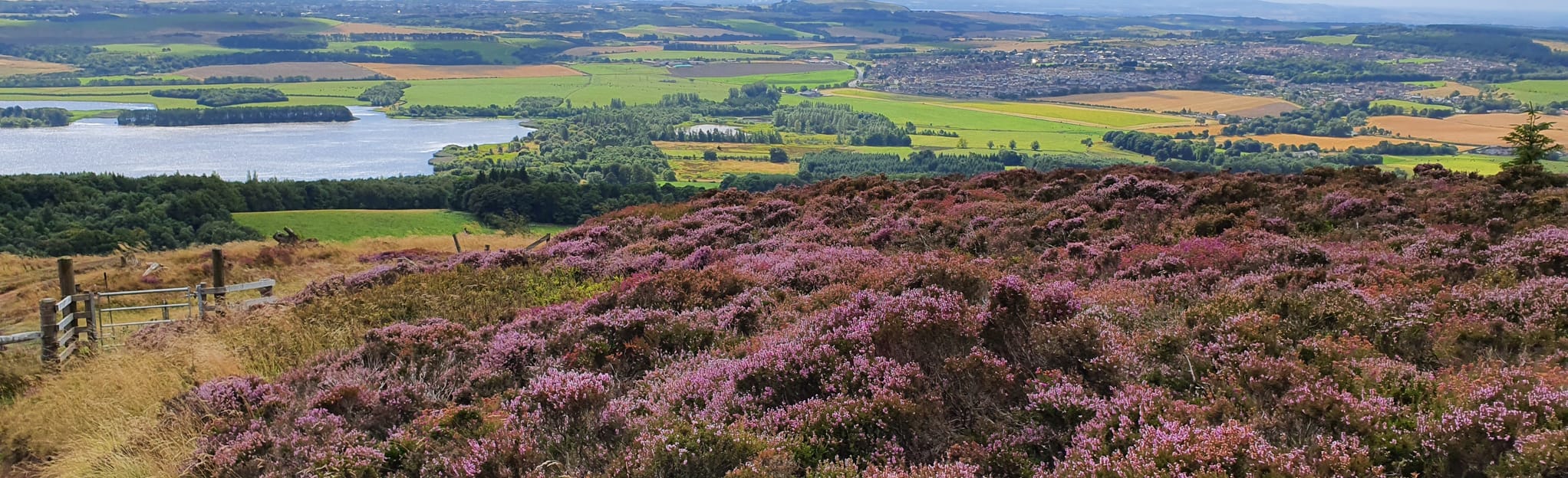 Benarty Hill and Wood Loop, Fife, Scotland - 88 Reviews, Map | AllTrails