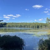 Raven Red Trail Loop, Wisconsin - 199 Reviews, Map | AllTrails