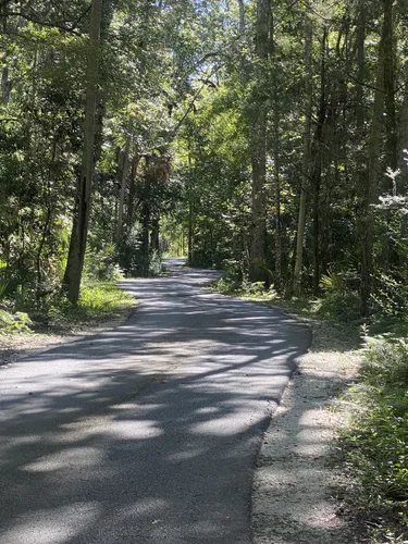 10 Best Trails and Hikes in Homosassa | AllTrails
