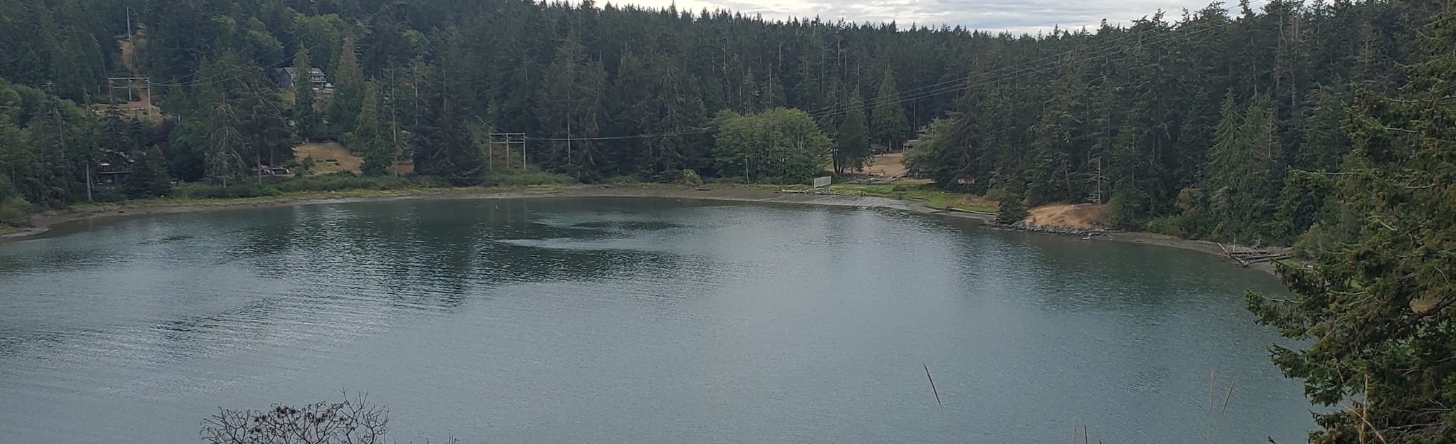 Goose Rock Trail - Washington | AllTrails