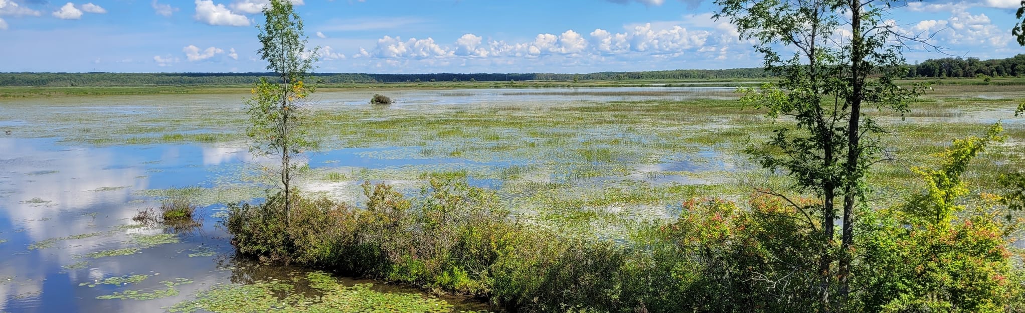 Tiny Marsh Provincial Wildlife Area, Ontario, Canada - 89 Reviews, Map ...