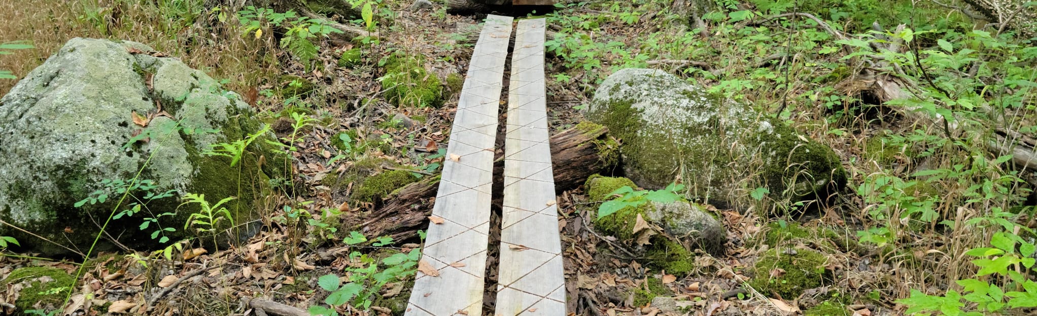 Carpenter Trail: 22 Reviews, Map - Connecticut | AllTrails