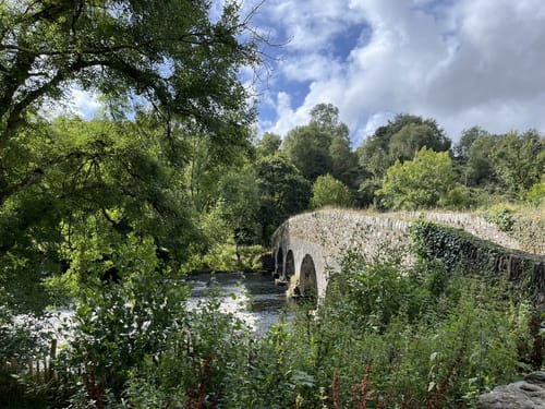 Best Hikes and Trails in Vale of Clara Reserve | AllTrails