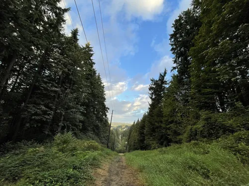 Best Walking Trails in Bothell | AllTrails