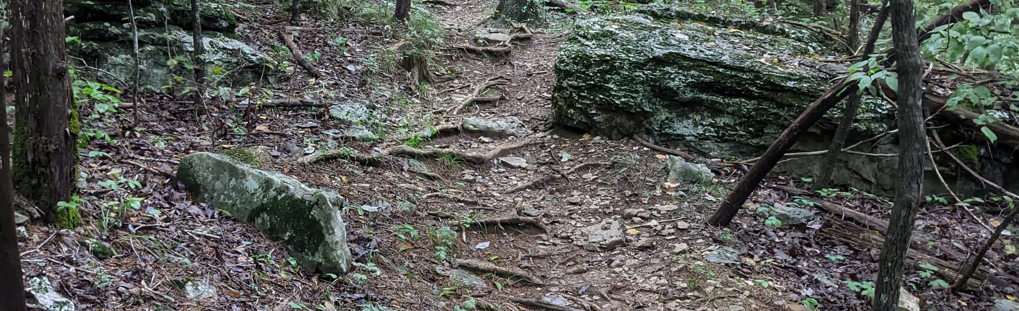 Rocky Ridge Loop, Indiana - 132 Reviews, Map | AllTrails