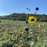 San Gabriel River Trail and Goodwater Loop, Texas - 635 Reviews, Map ...