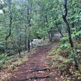 Beaver Brook Trail, Eastman Meadow Trail, and Maple Hill Ridge Loop ...