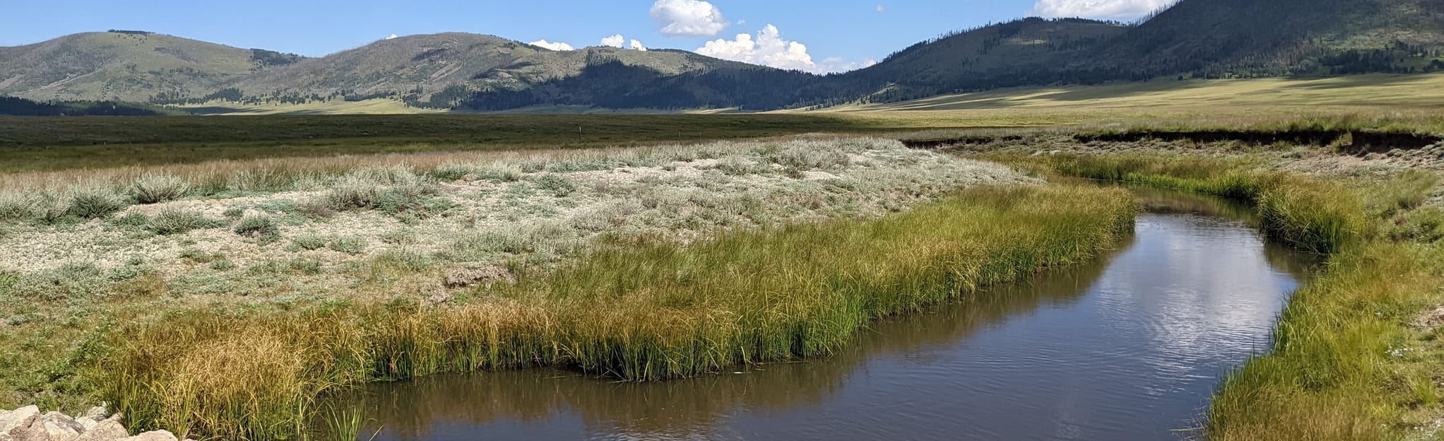 Pond Trail: 17 Reviews, Map - New Mexico | AllTrails