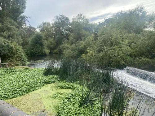 Best Walking Trails in Colne Valley Park | AllTrails