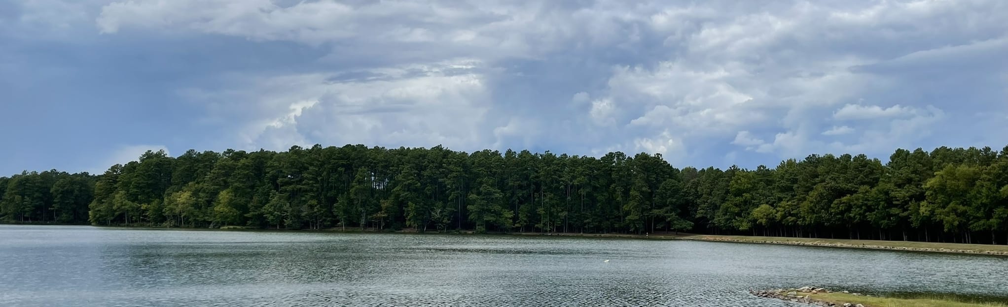 Oliphant Lake, South Carolina - 8 Reviews, Map | AllTrails
