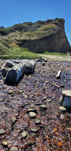 Best Hikes and Trails in Seven Devils State Recreation Site | AllTrails