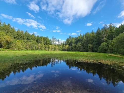 Best 10 Hikes and Trails in Tiger Mountain State Forest | AllTrails