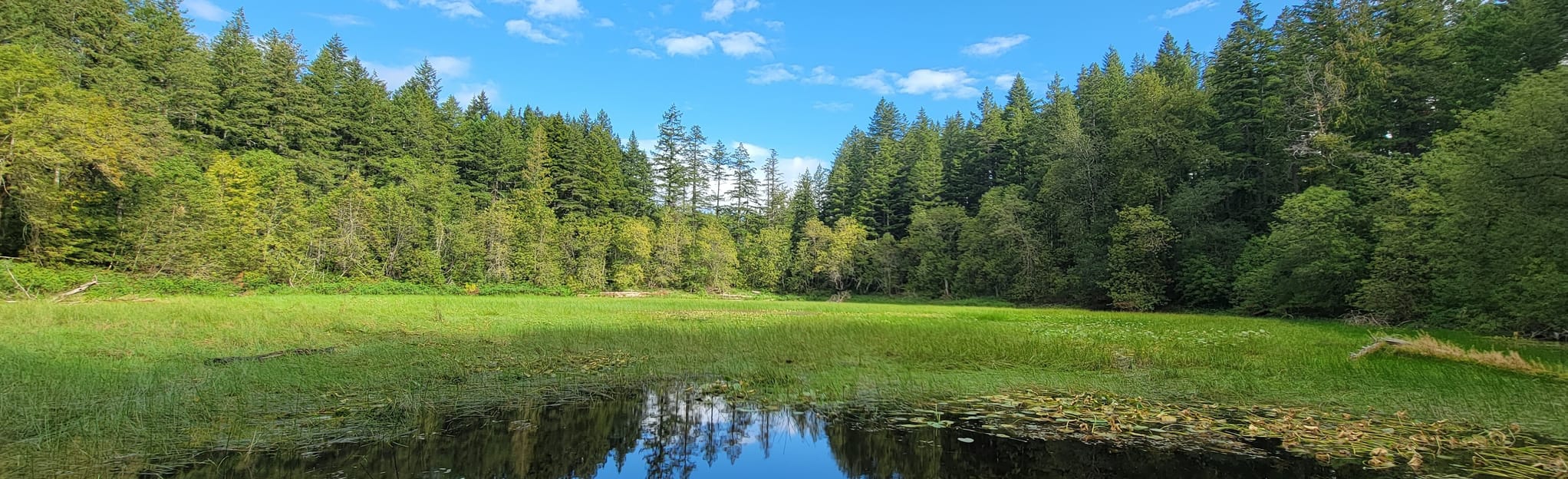 Tradition Lake Loop Trail, Washington - 1,448 Reviews, Map | AllTrails