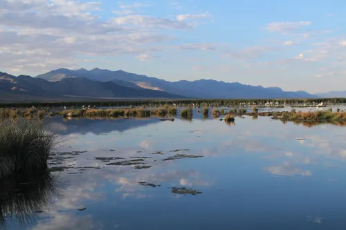 Best Hikes and Trails in Ruby Lake National Wildlife Refuge | AllTrails