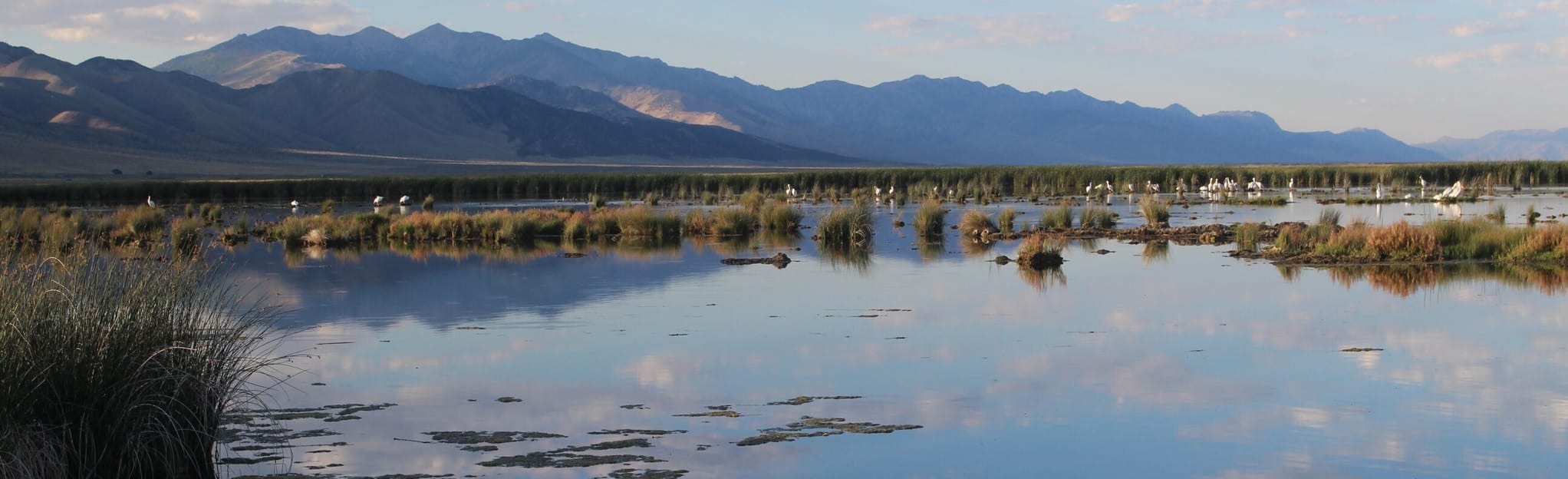 Ruby Lakes National Wildlife Refuge Auto Tour, Nevada - Map, Guide ...