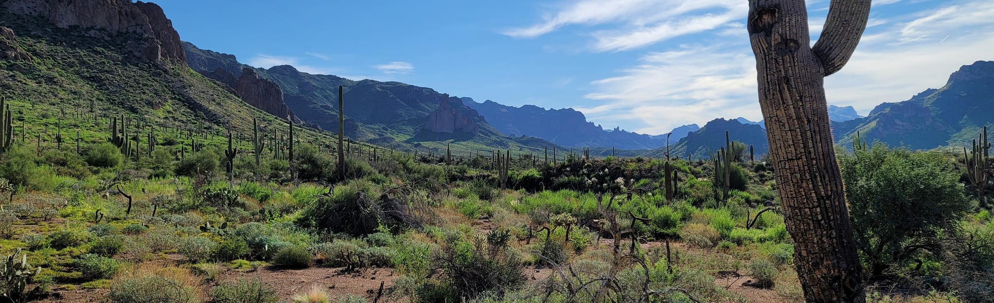 Miners Summit Trail: 307 Reviews, Map - Arizona | AllTrails