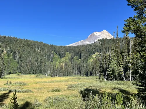 2023 Best 10 Backpacking Trails in Mount Hood National Forest | AllTrails