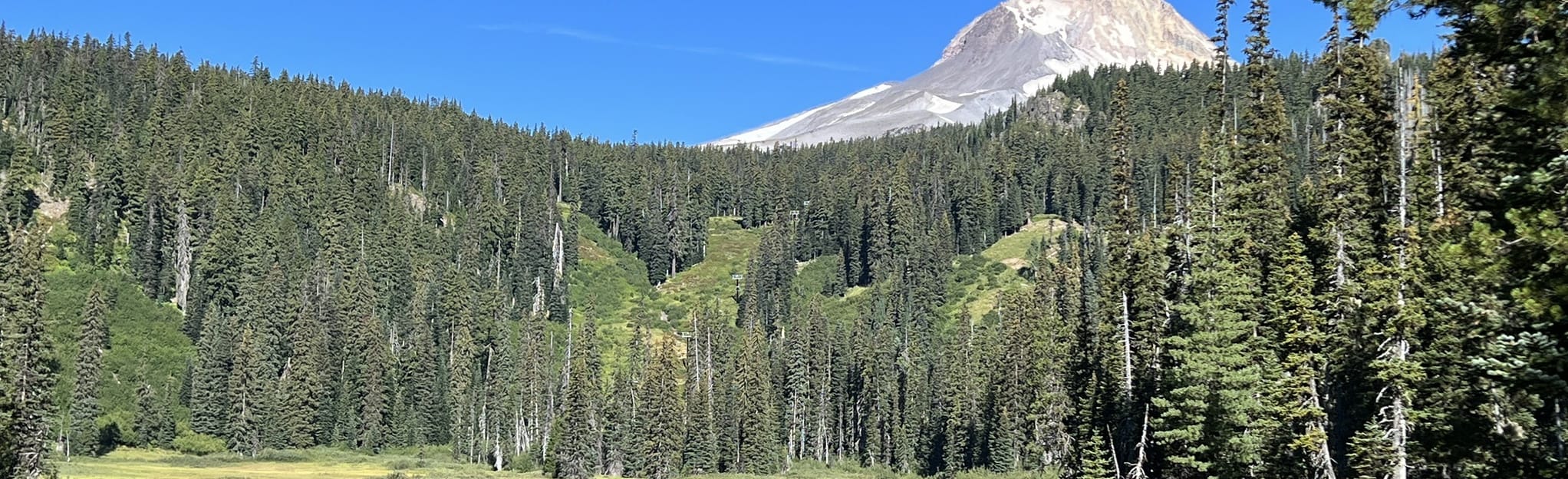 Umbrella Falls, Sahale Falls, and Timberline Trail Loop: 90 Reviews ...