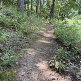 Cedar Lake Trail, Oklahoma - 137 Reviews, Map | AllTrails