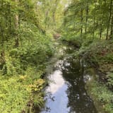 Lenape Trail , New Jersey - 496 Reviews, Map | AllTrails