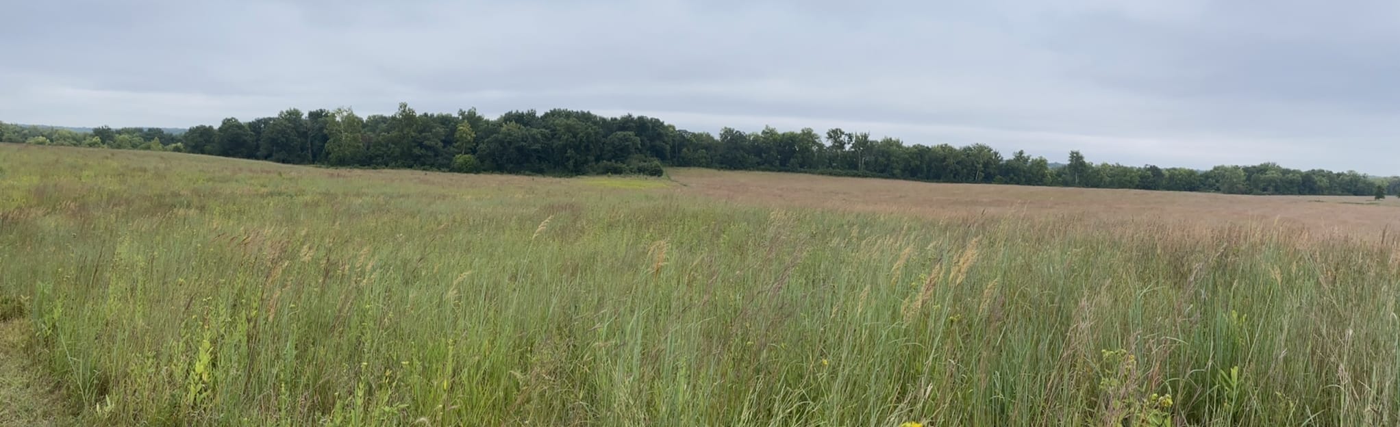 Prophetstown Homestead & Indian Village Loop: 13 Reviews, Map - Indiana ...