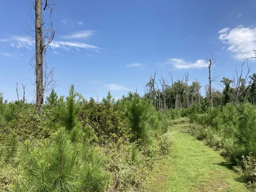 Best Hikes and Trails in Atlanta State Park | AllTrails